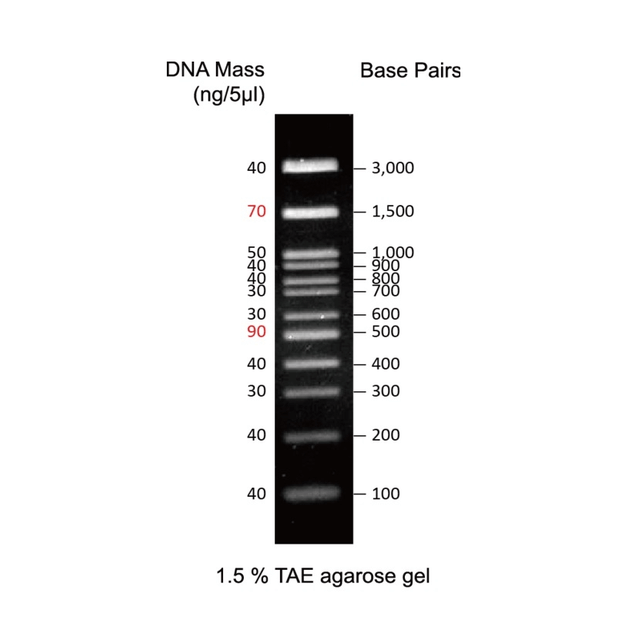 1Kb Plus DNA Ladder | Froggabio