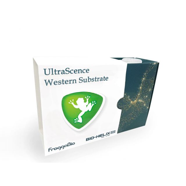 IRIS11 Prestained Protein Ladder | FroggaBio