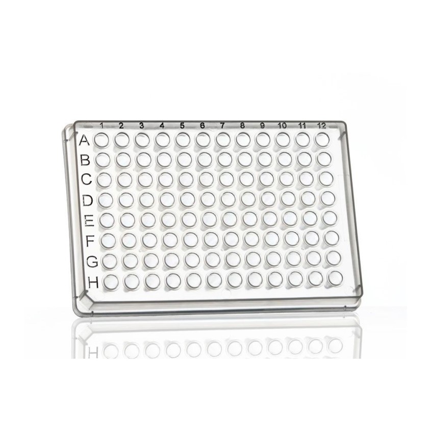 FroggaBio - Promotions